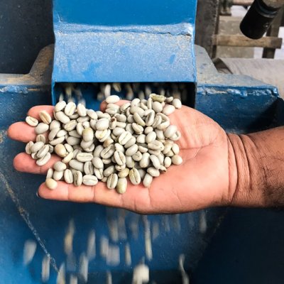 Cafe Imports | Offerings