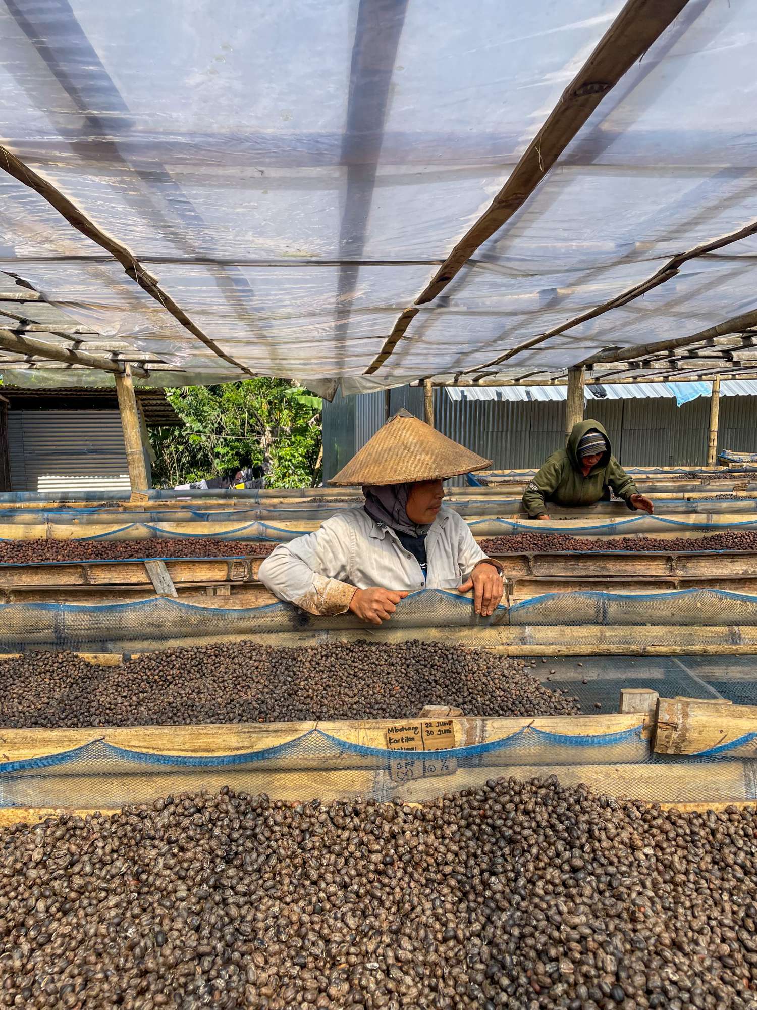 Cafe Imports | Flores