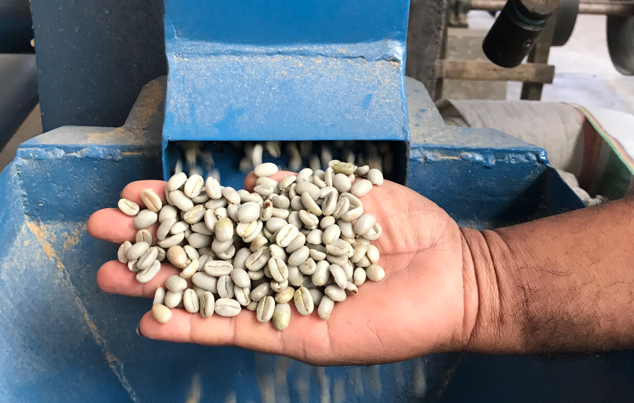 Cafe Imports | Flores