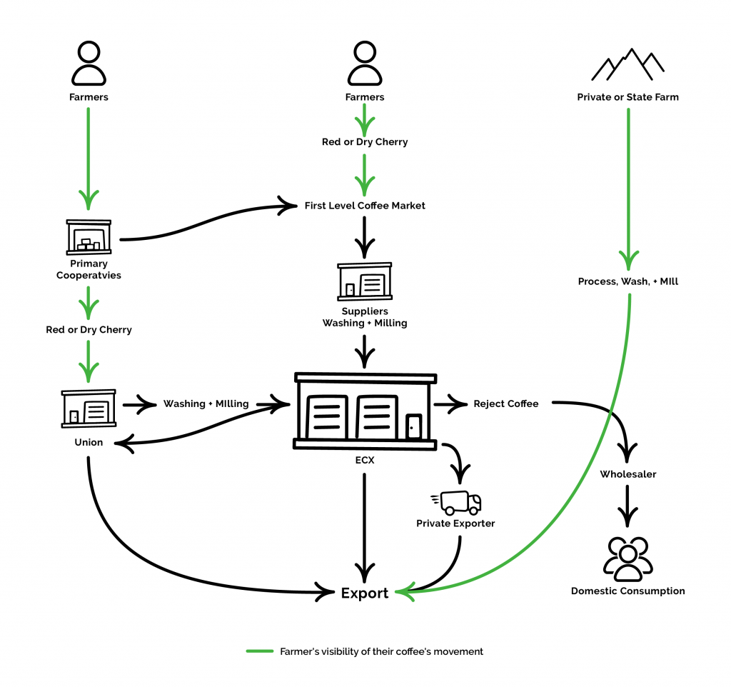 Cafe Imports | Ethiopia Single Farmer Project: The History and Future